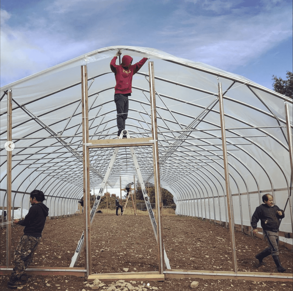 THE INCUBATOR FARM • Groundswell Center